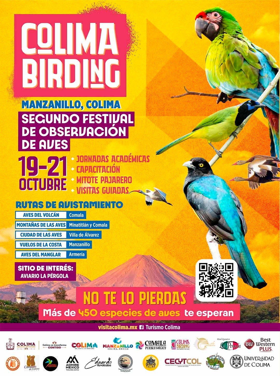 ‘Colima Birding’ es considerado el paraíso de las aves en México